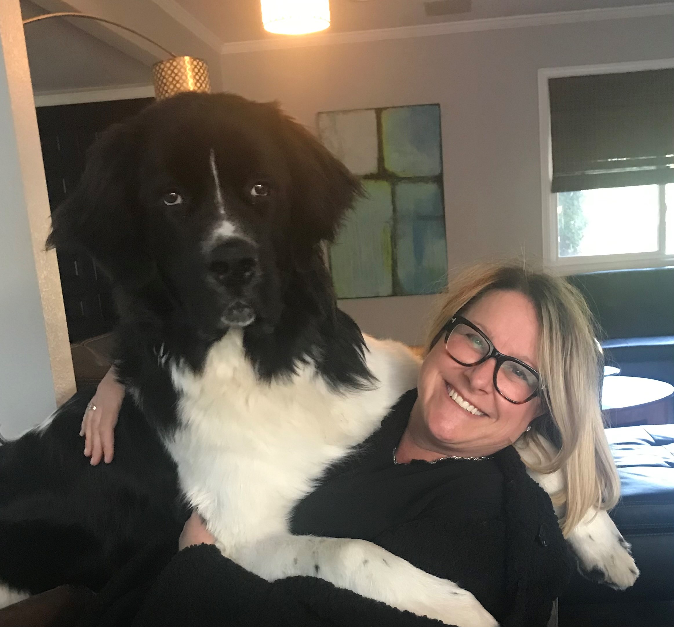 On Board With... Business Development Director Kristi Ross-Patchin